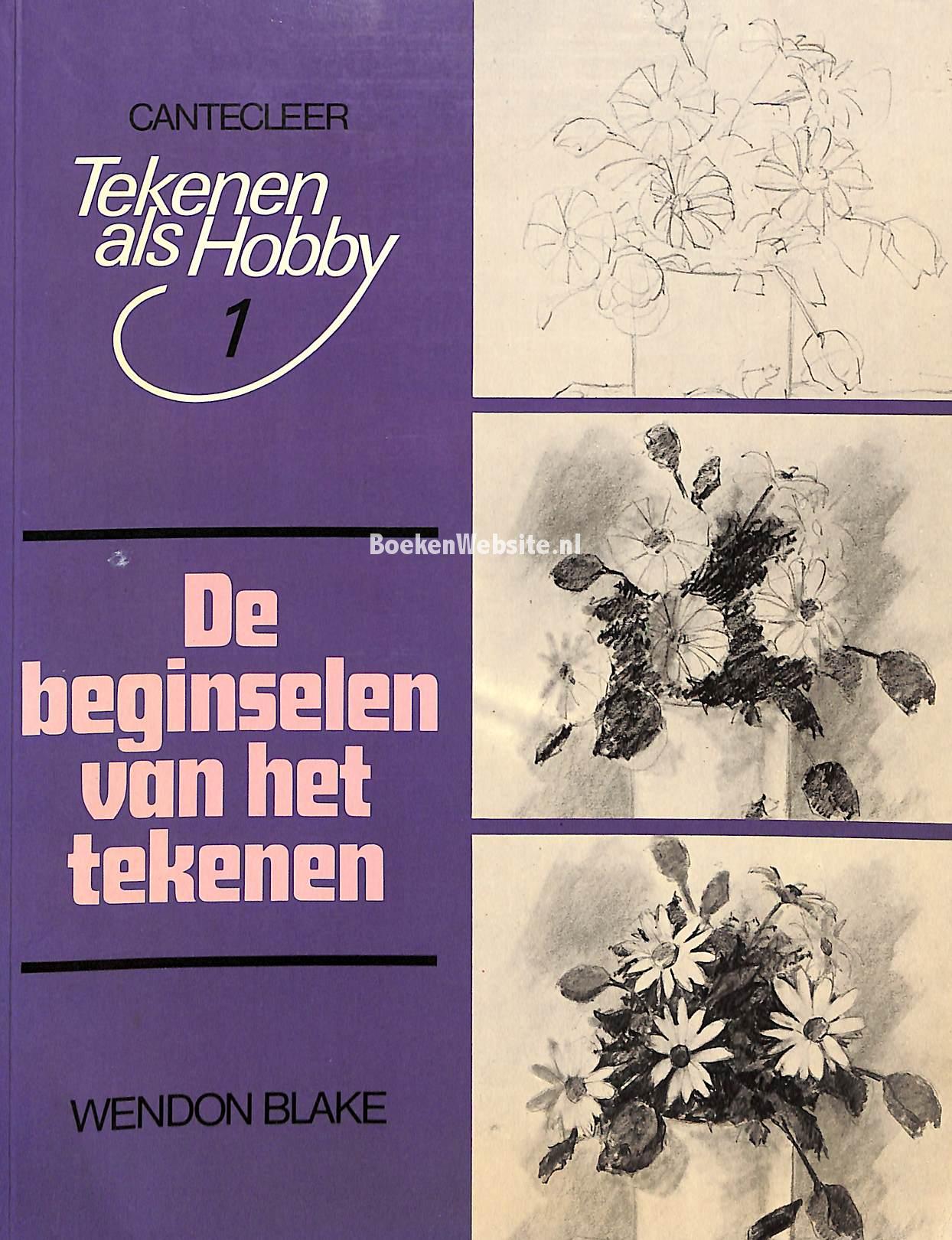 De beginselen van het tekenen, Blake Wendon | BoekenWebsite.nl